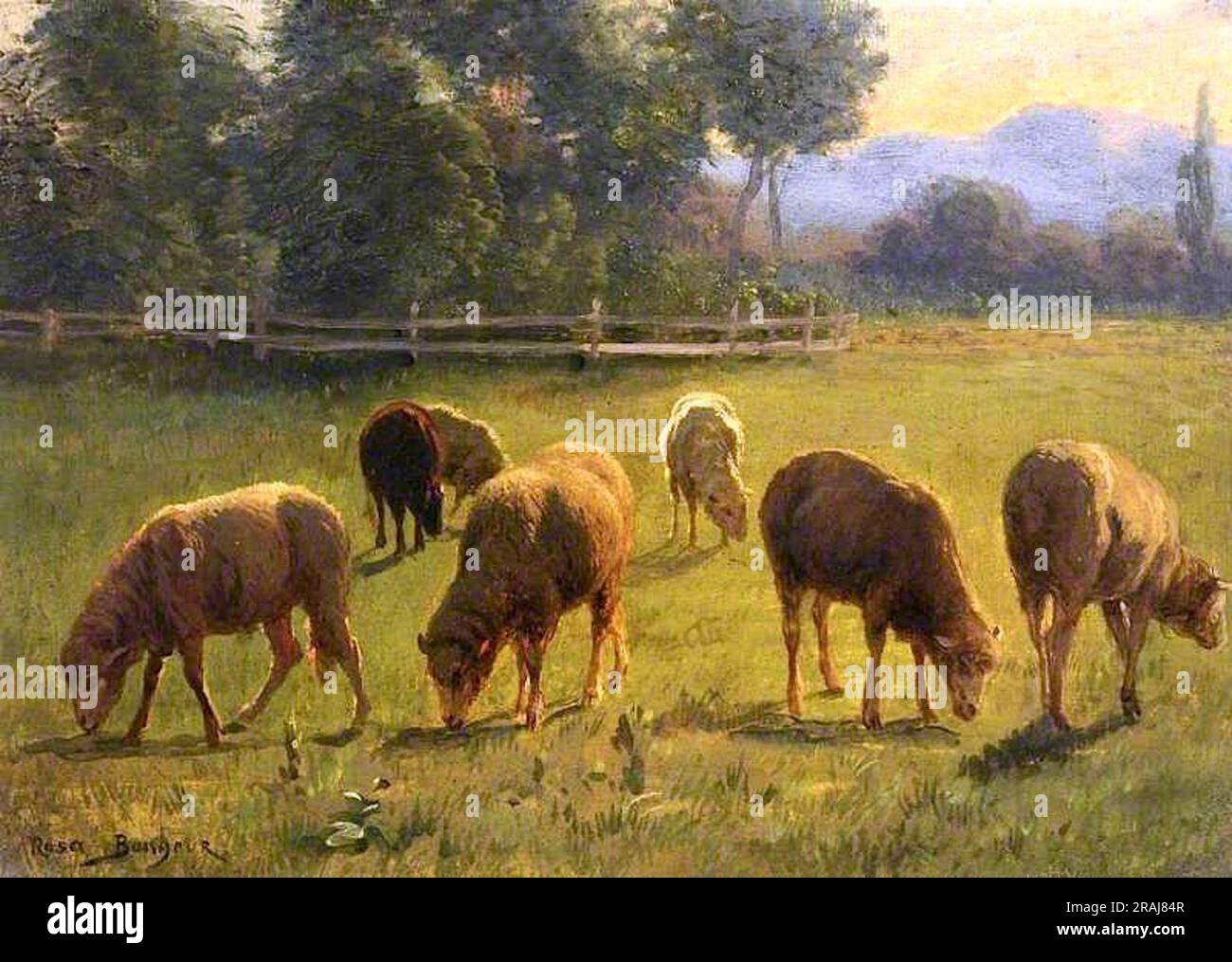 Sheep in a Landscape Stock Photo - Alamy