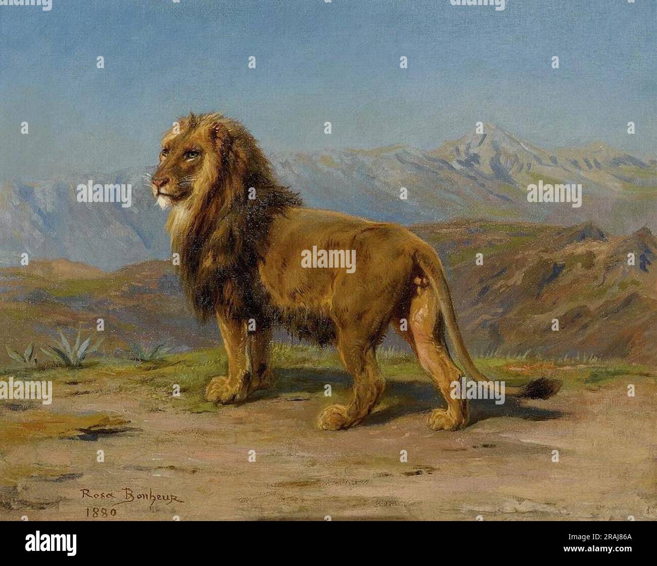 Rosa bonheur painting lion hi-res stock photography and images - Alamy