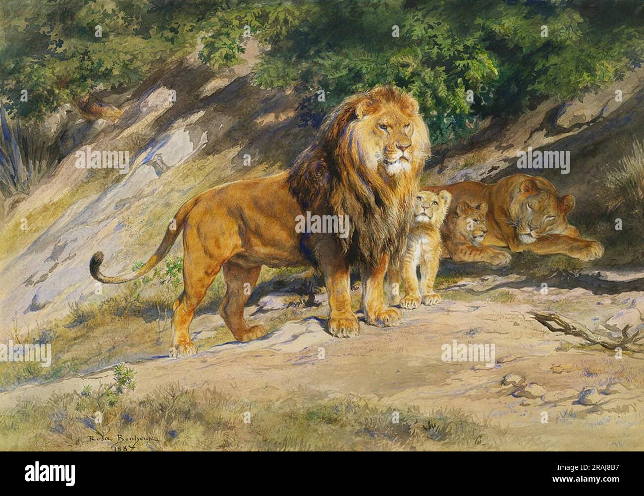 The King Watches Stock Photo - Alamy