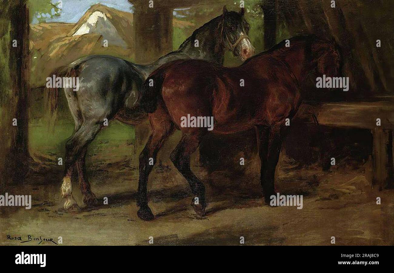 Two Horses in a Stable Stock Photo - Alamy