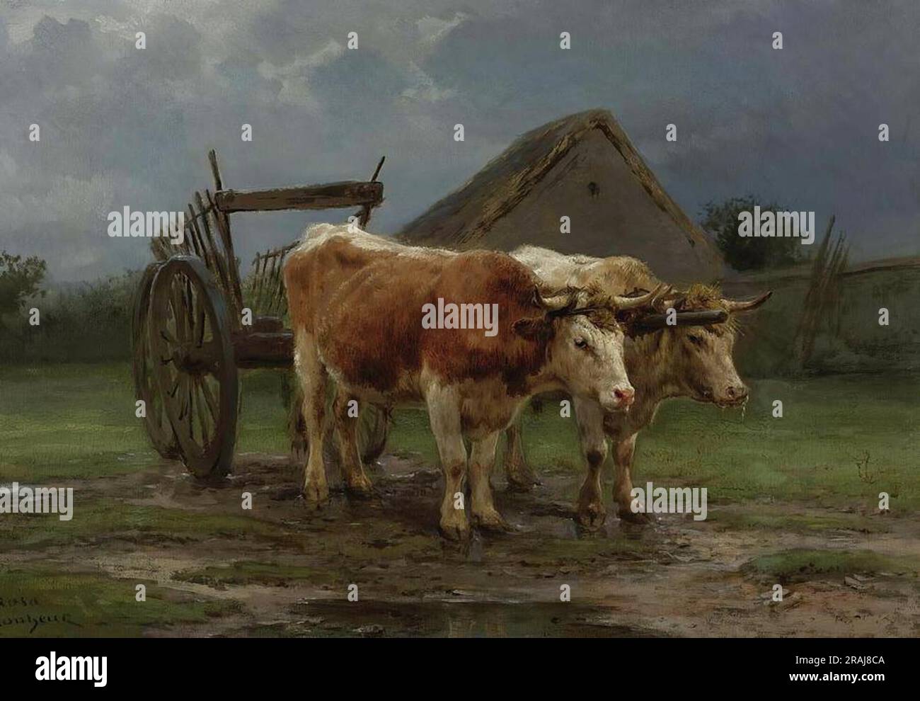 Oxen Pulling a Cart Stock Photo - Alamy