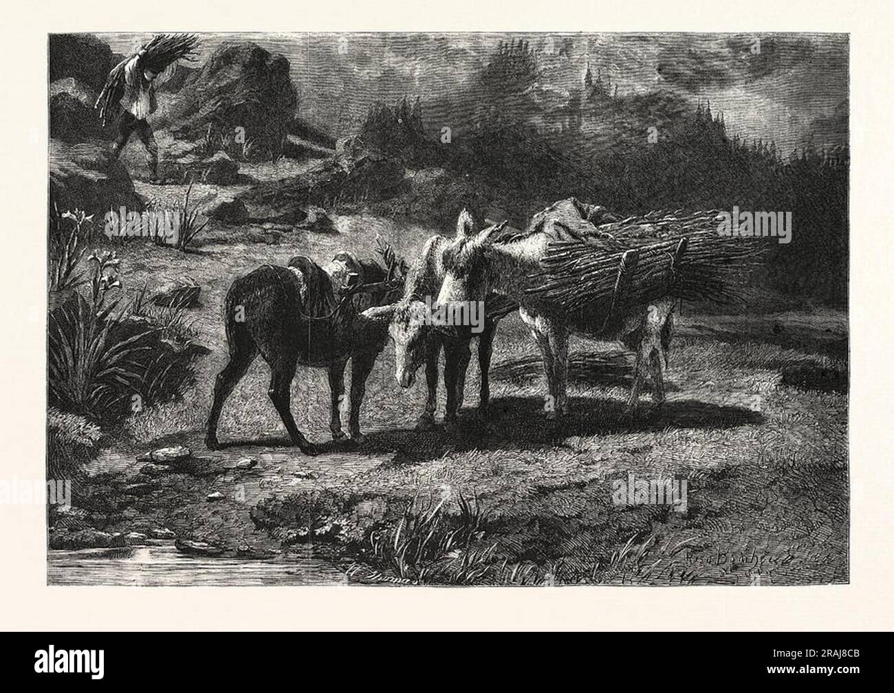 The Three Brothers Stock Photo - Alamy