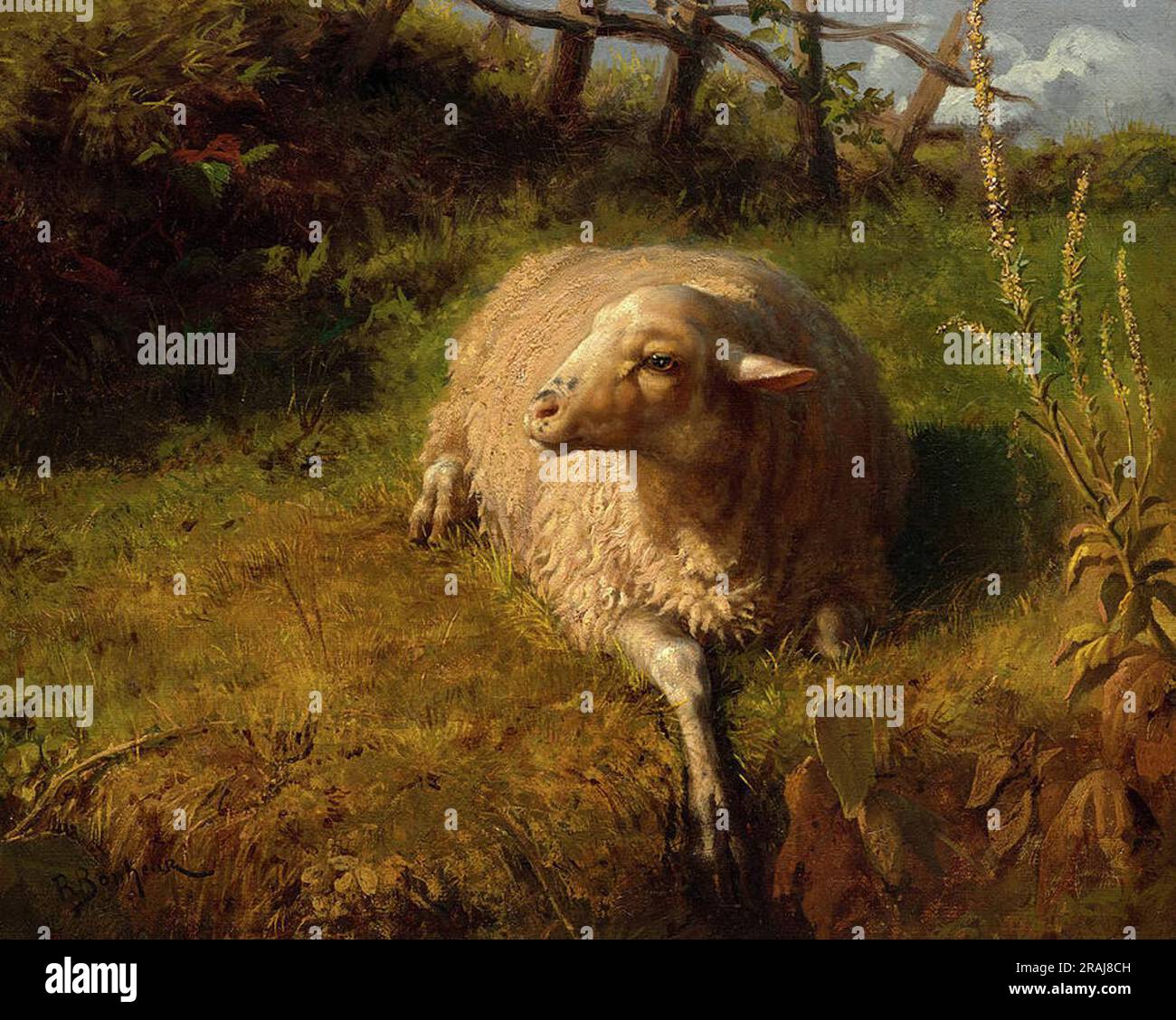 Rosa bonheur sheep hi-res stock photography and images - Alamy