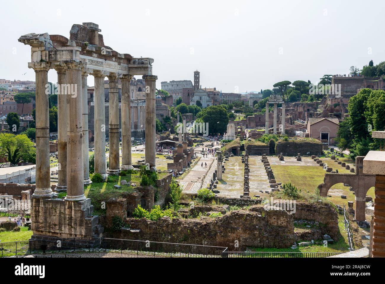 Roman forum and curia Julia in Rome, Italy Stock Photo - Alamy