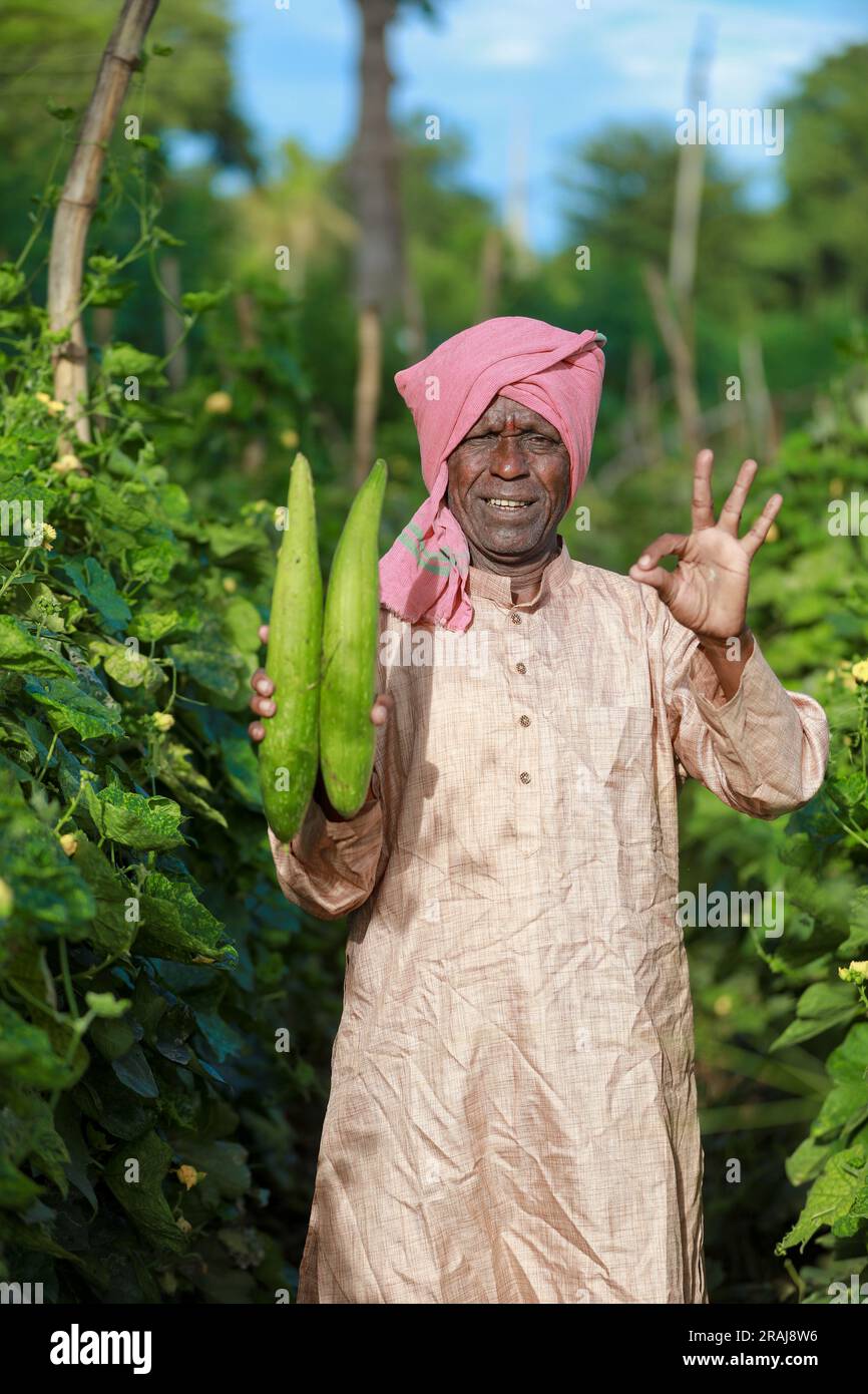 Indian farming, farmer holding bottle gourd, vegetable fresh , happy ...