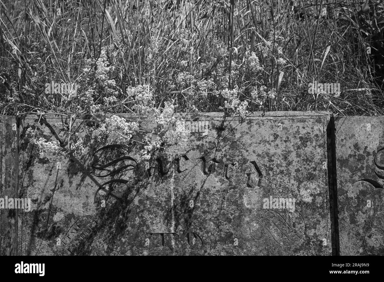 ST NEWLYN EAST CHURCH AND GRAVE YARD WITH HEADSTONES AND PATH LINE WITH ...