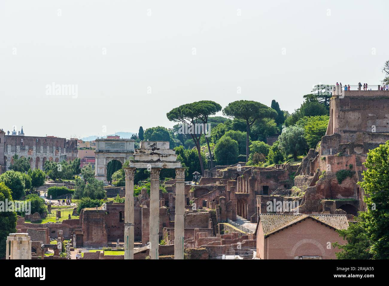 Roman forum and curia Julia in Rome, Italy Stock Photo - Alamy