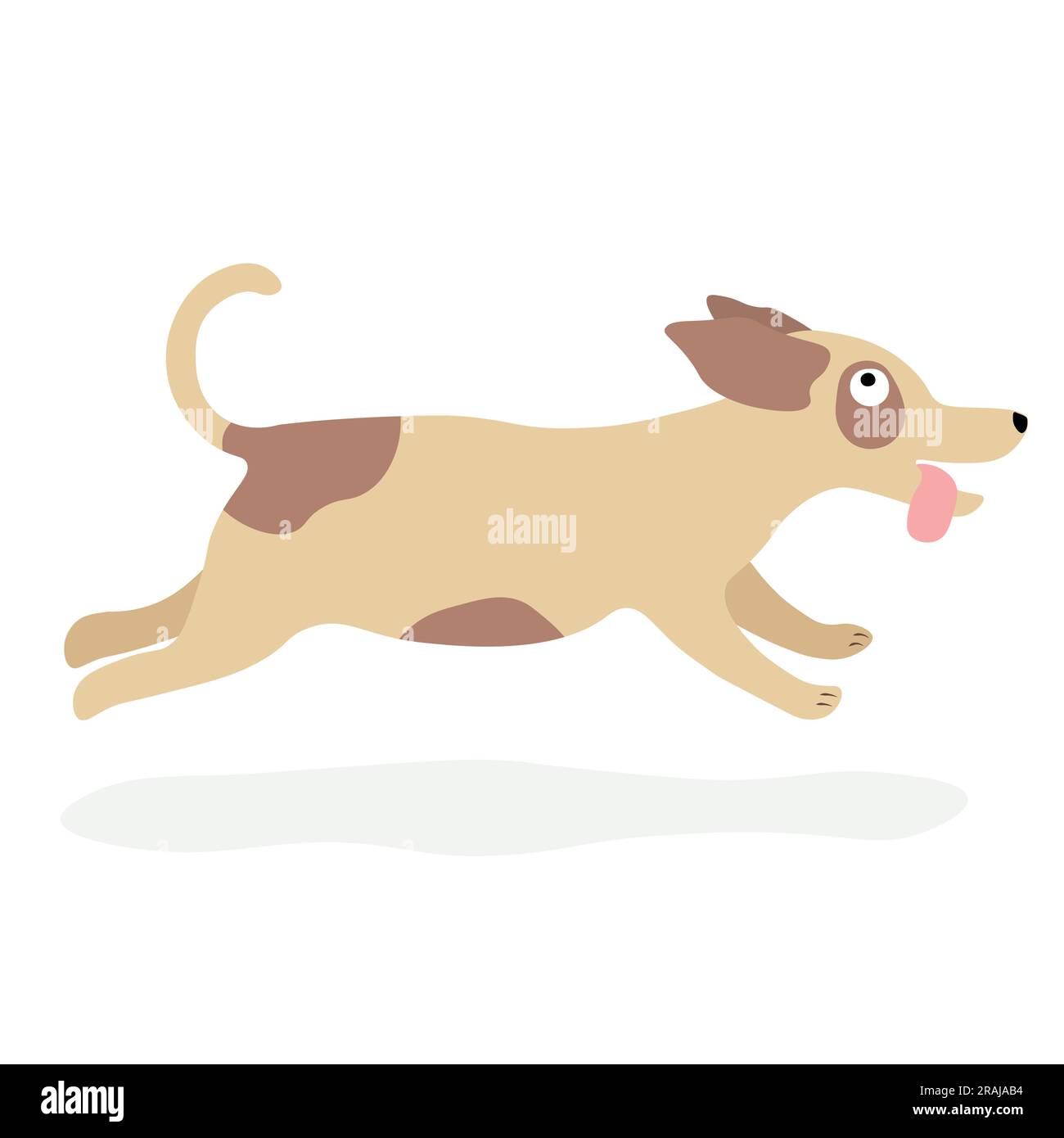 Cute dogs color flat vector in cartoon style. Running dog illustration ...