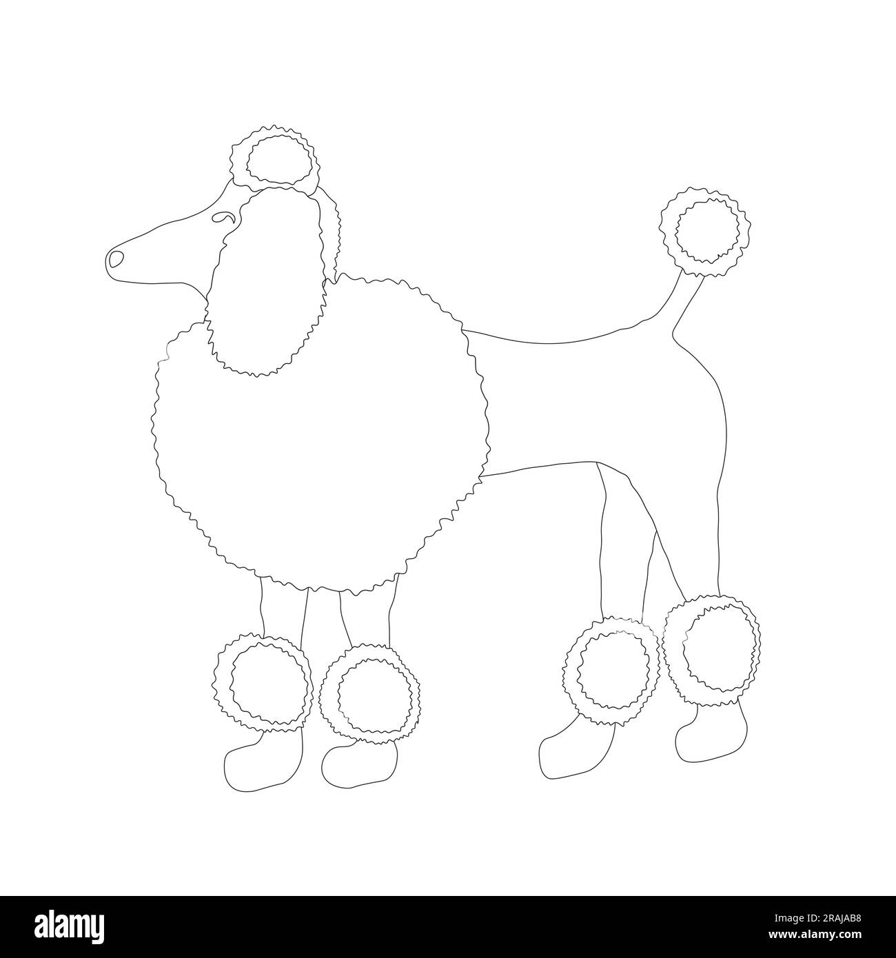 Poodle Drawing Outline
