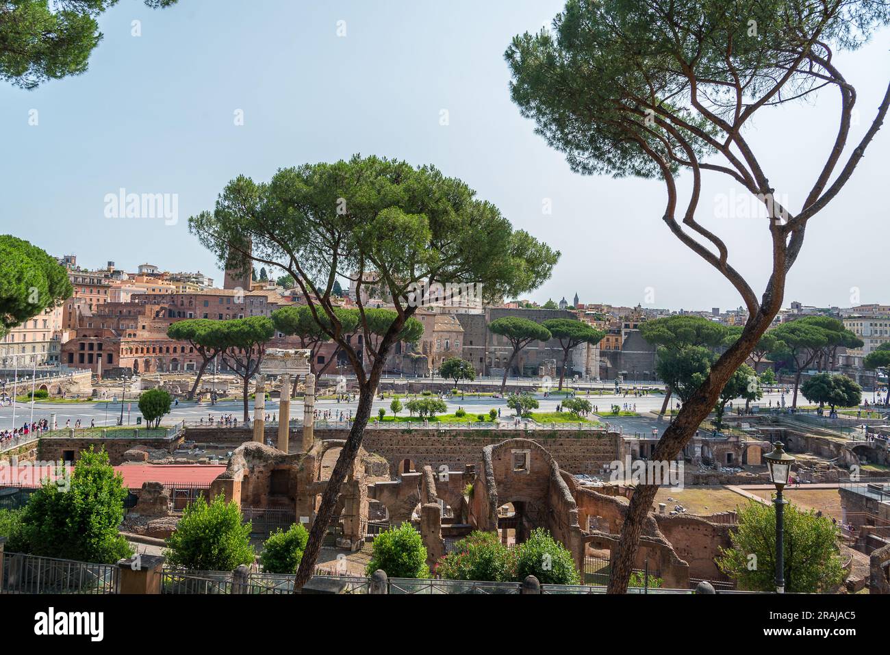 Roman forum and curia Julia in Rome, Italy Stock Photo - Alamy