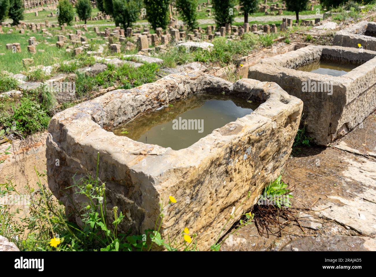 Roman water basins in the ancient town of Cuicul in Djemila, Setif ...