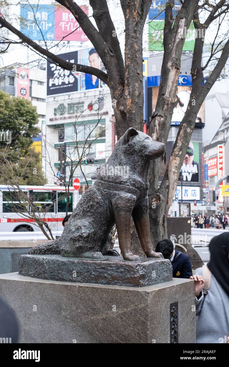 Hachiko statue at Shibuya Station, Tokyo Stock Photo - Alamy