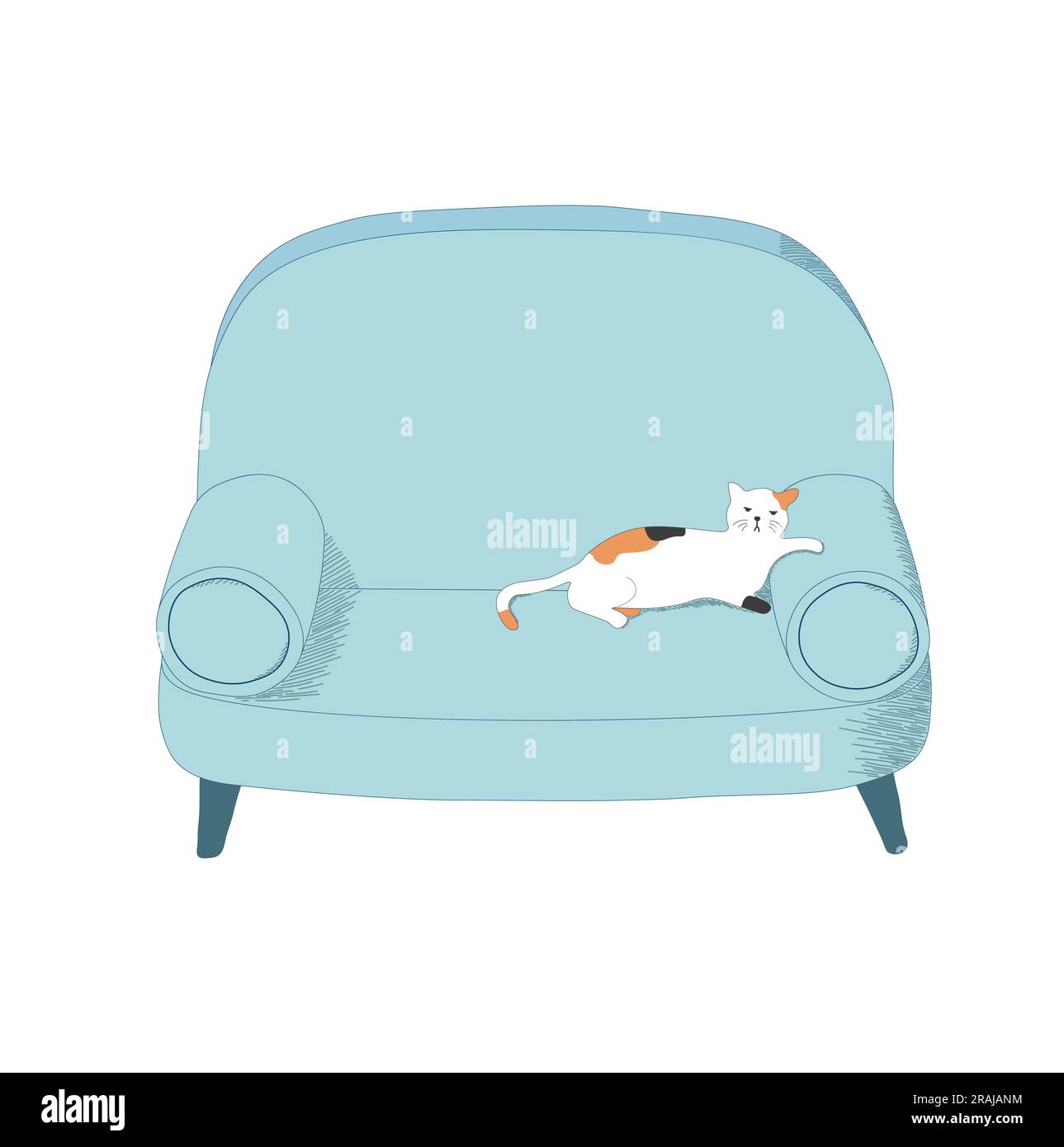 Cute Cat Flat Vector In Cartoon Style Cat Lays On The Sofa Collection