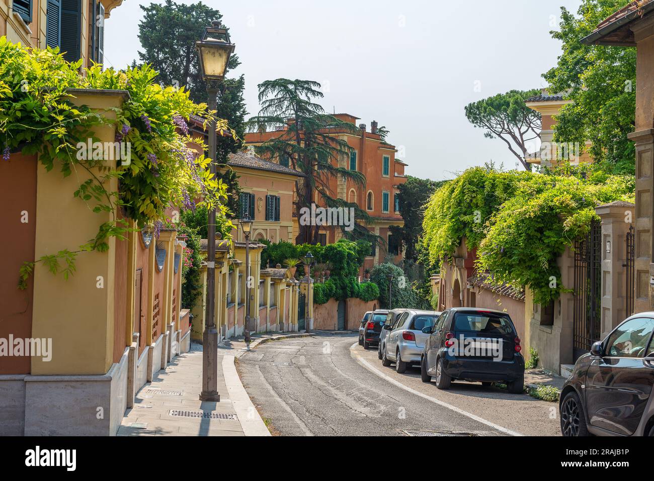 Mediterranean street in the summer with houses and green vegetation ...