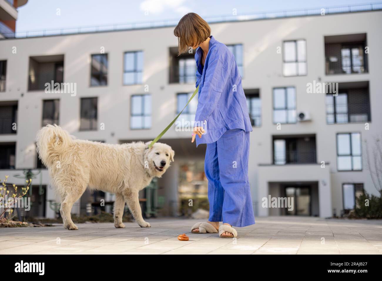 Woman points finger on dog's poop, walking with pet Stock Photo - Alamy