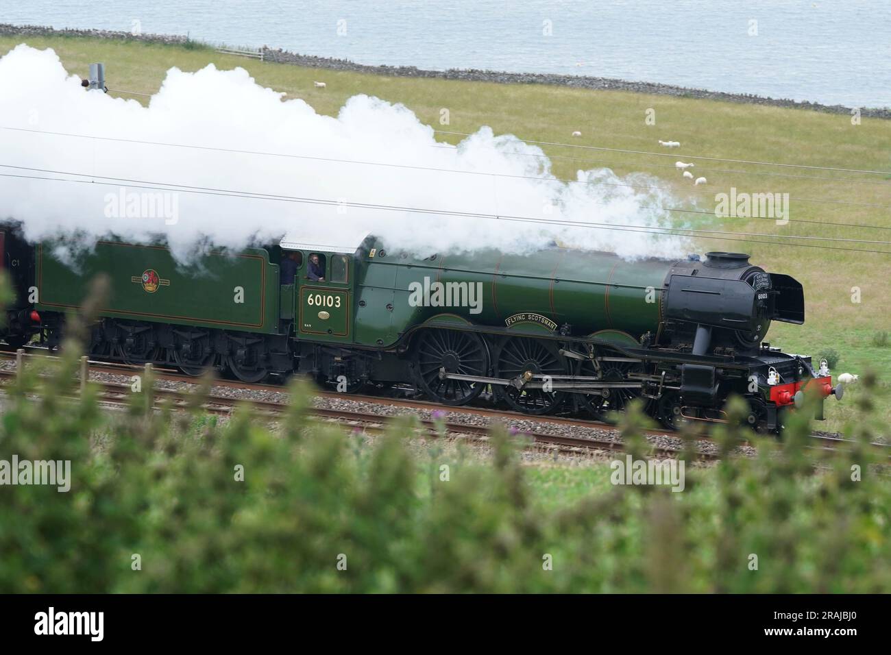 The Flying Scotsman passes near Berwick-upon-Tweed in Northumberland ...