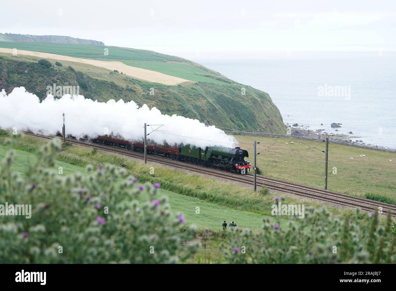 The Flying Scotsman passes near Berwick-upon-Tweed in Northumberland ...