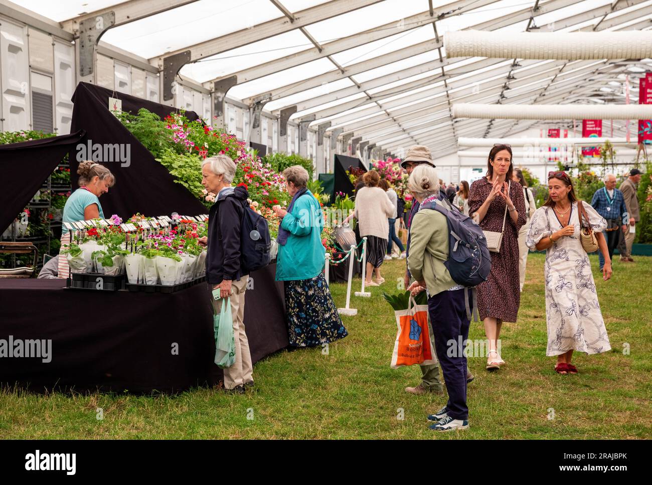 RHS Hampton Court Palace Flower Festival Stock Photo - Alamy