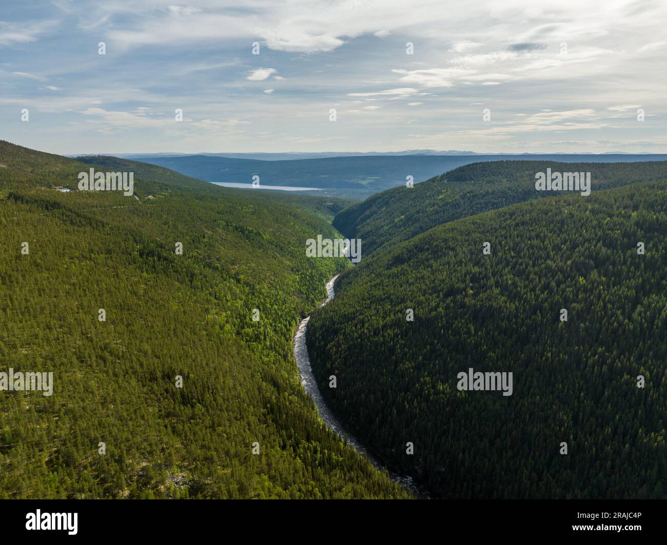 Norway landscape summer forest hi-res stock photography and images - Alamy