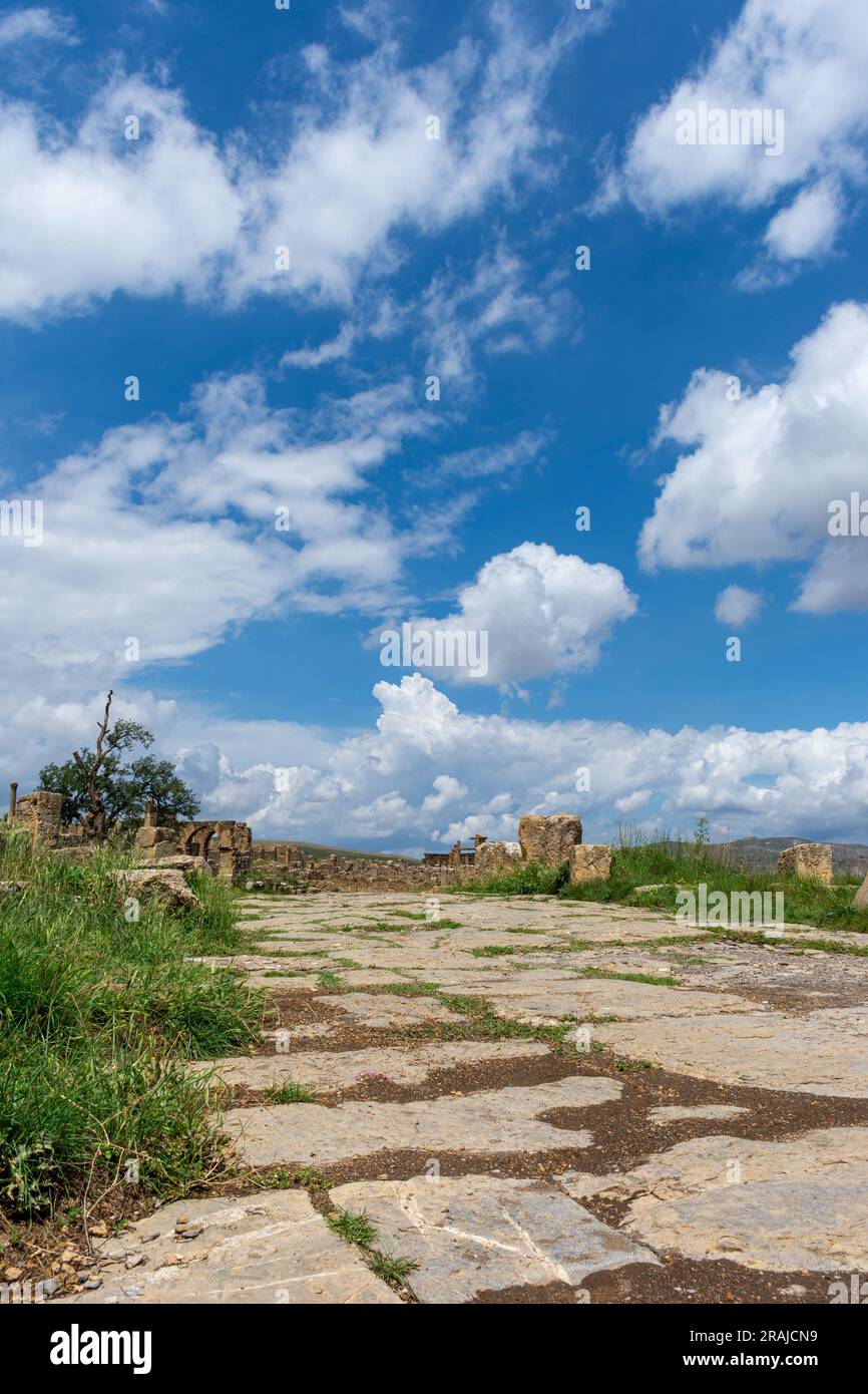 Roman ruins in the ancient town of Cuicul in Djemila, Setif, Algeria ...