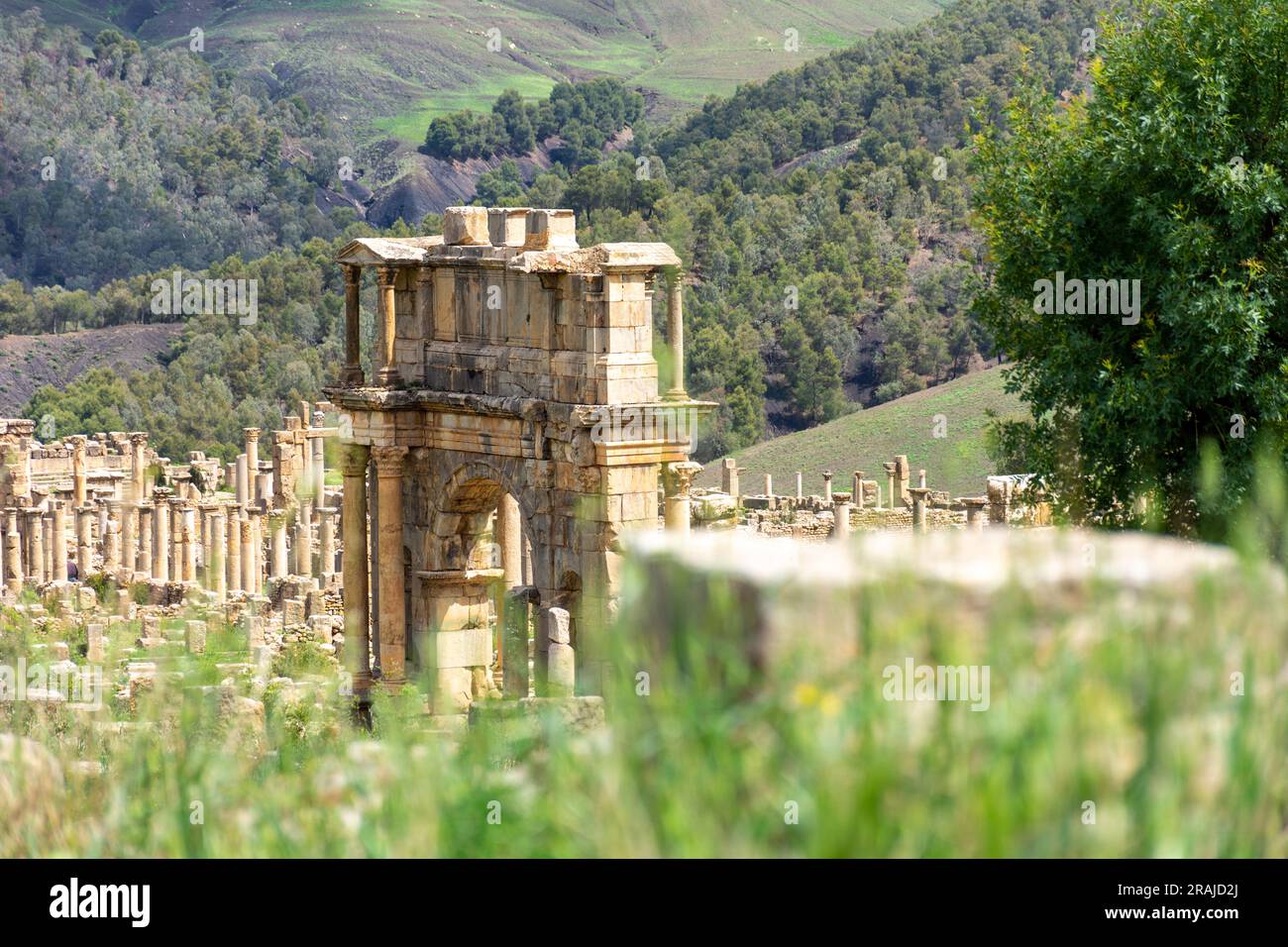 The Arch of Caracalla in the ancient Roman town of Cuicul in Djemila ...