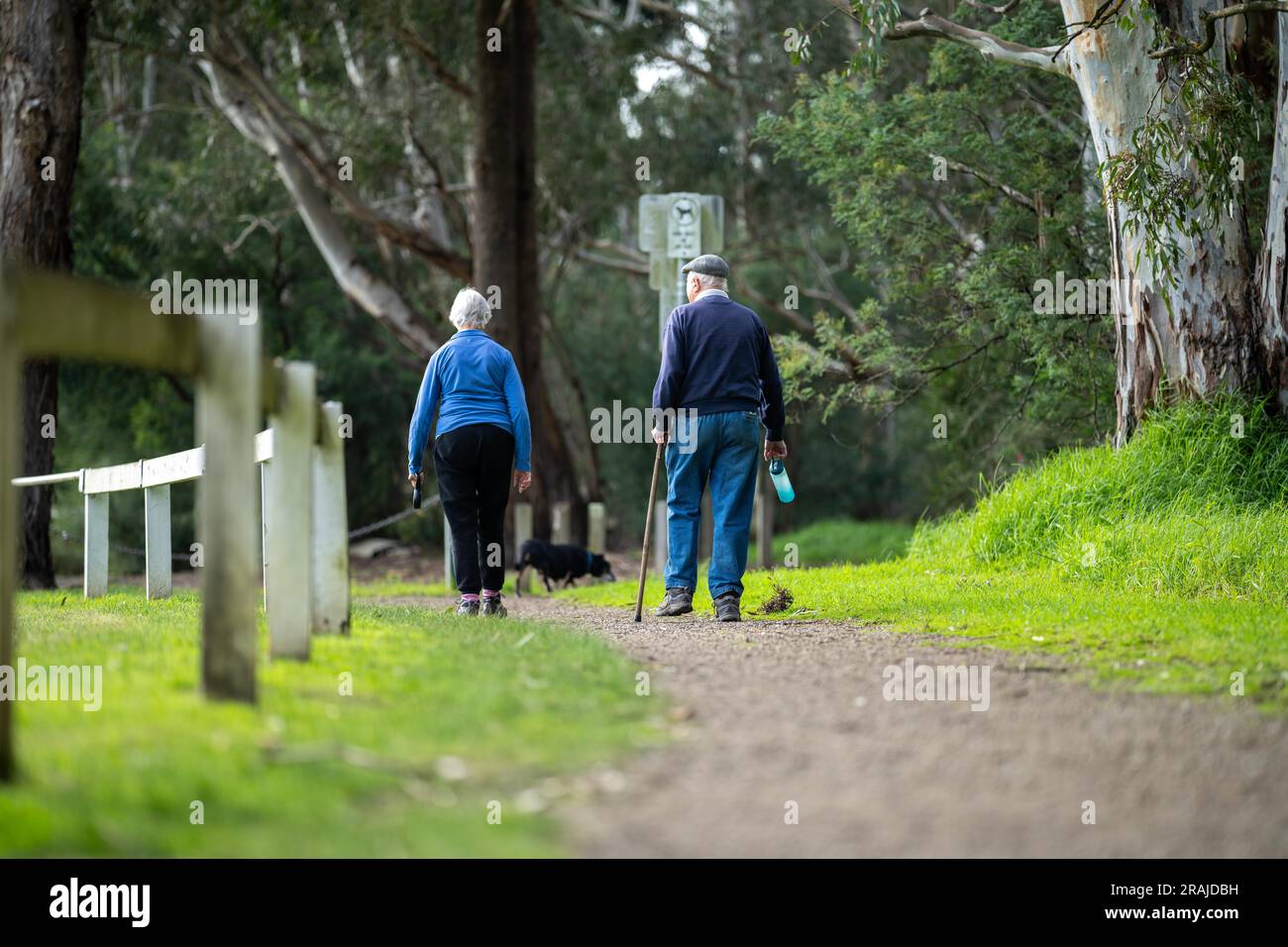 old couple walking with a little dog on a path in a park by the forest ...
