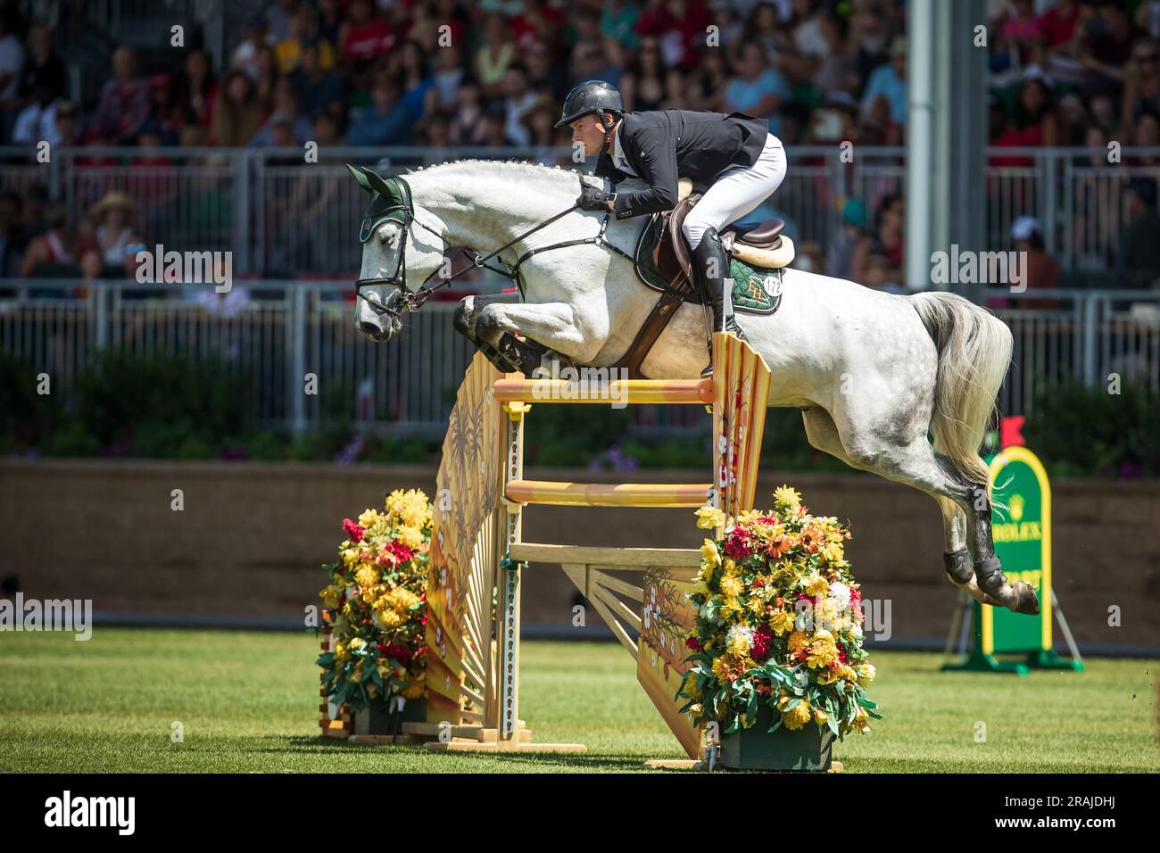 Rolex pan american cup hi-res stock photography and images - Alamy