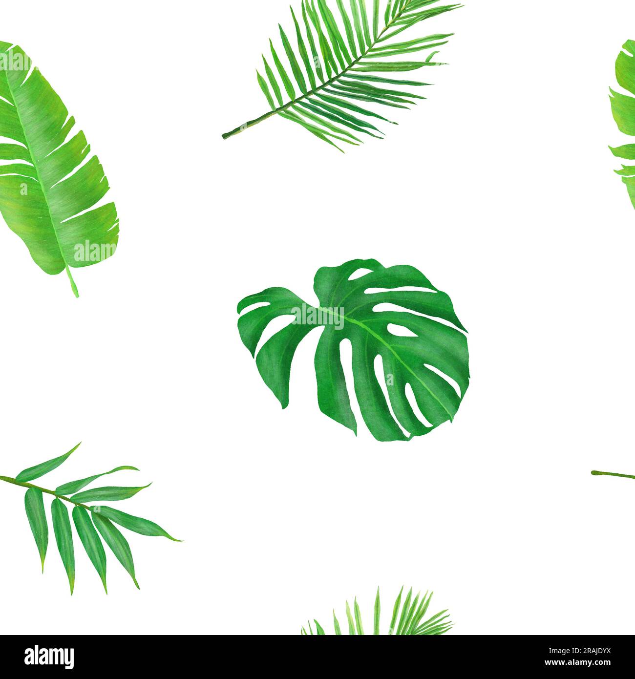 Tropical Leaves Seamless Pattern Vector Stock Vector Image And Art Alamy