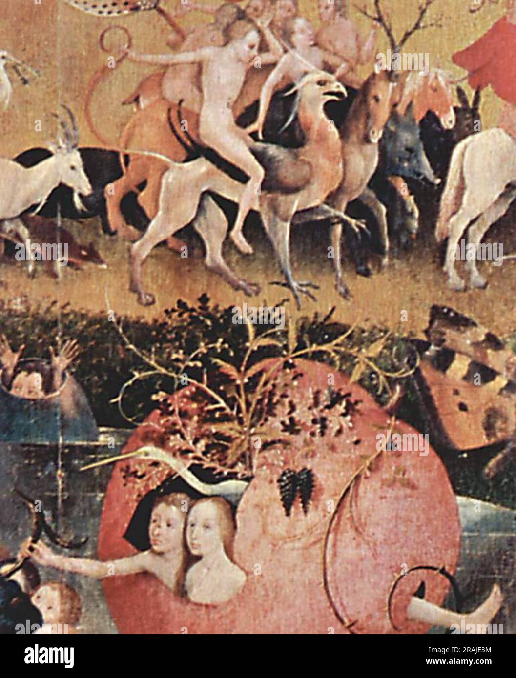 Bosch garden of earthly delights detail hi-res stock photography and images - Alamy
