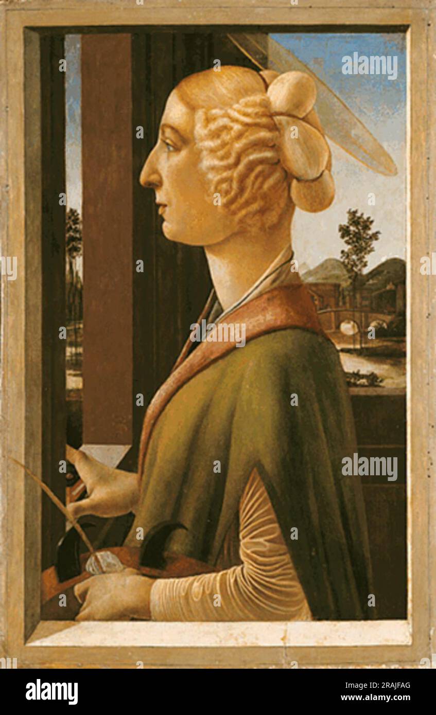 Woman with attributes of Saint Catherine, so called Catherina Sforza ...