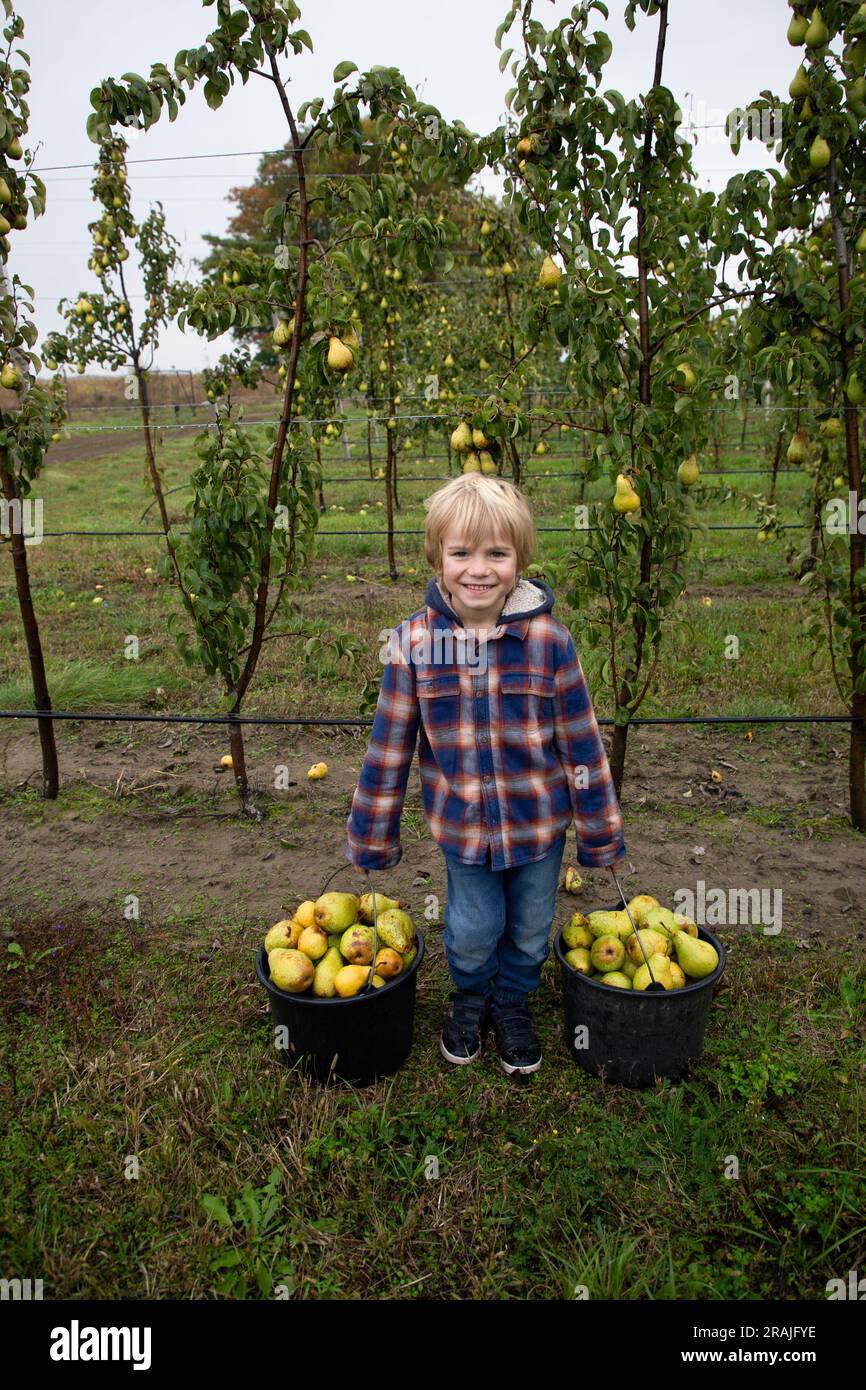 6 years old gardening hi-res stock photography and images - Alamy