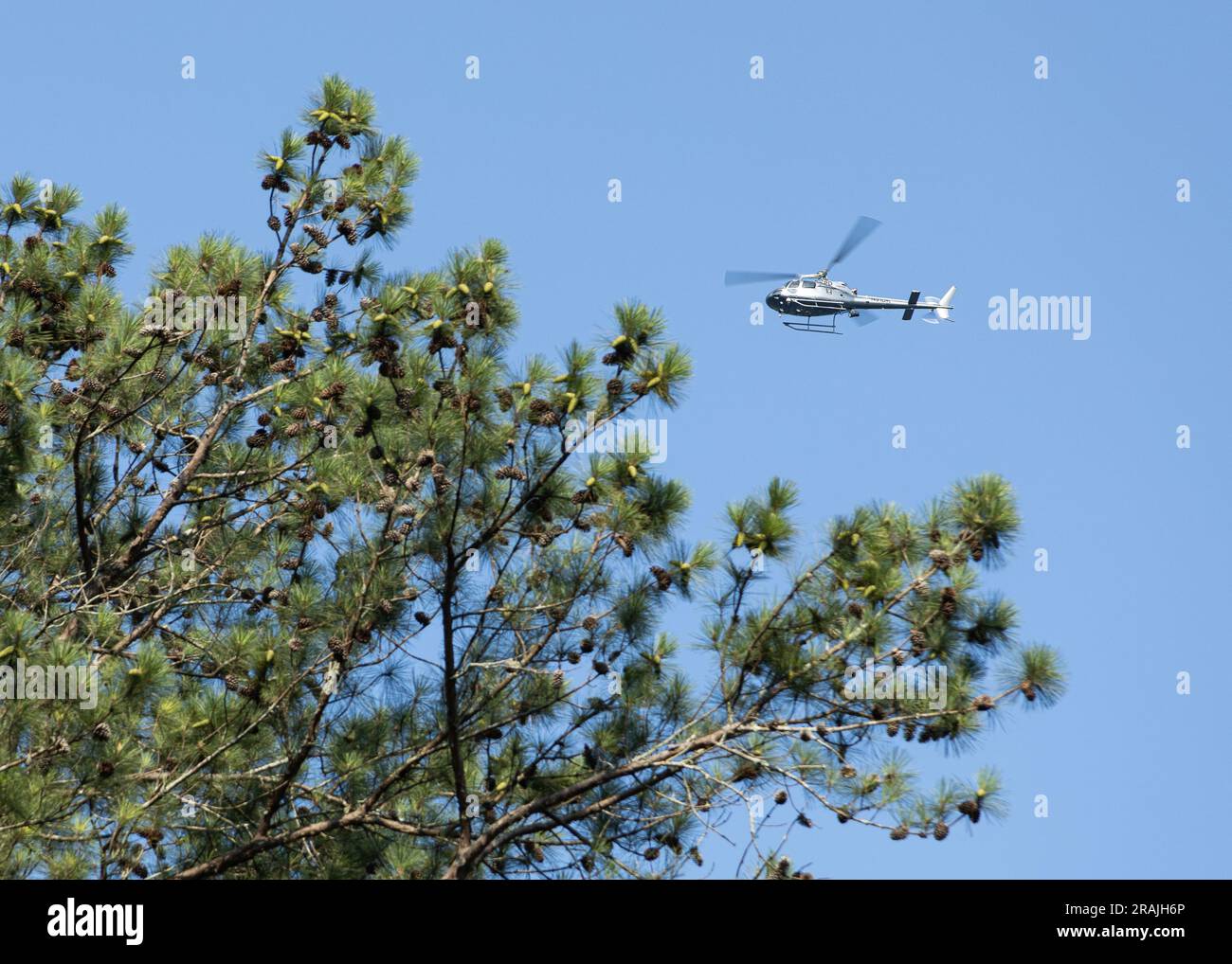 June 2023 atlanta city hi-res stock photography and images - Alamy