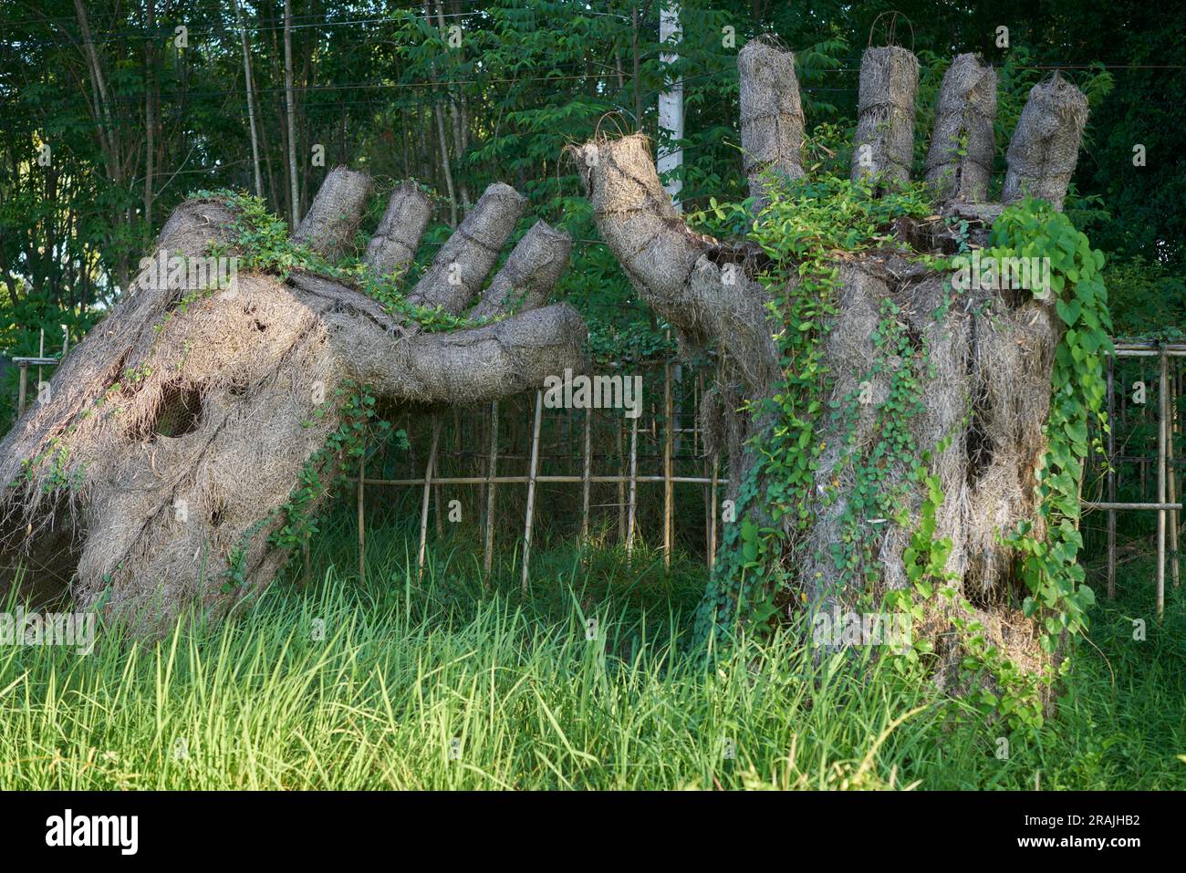 Big hands in a lush green jungle Stock Photo - Alamy