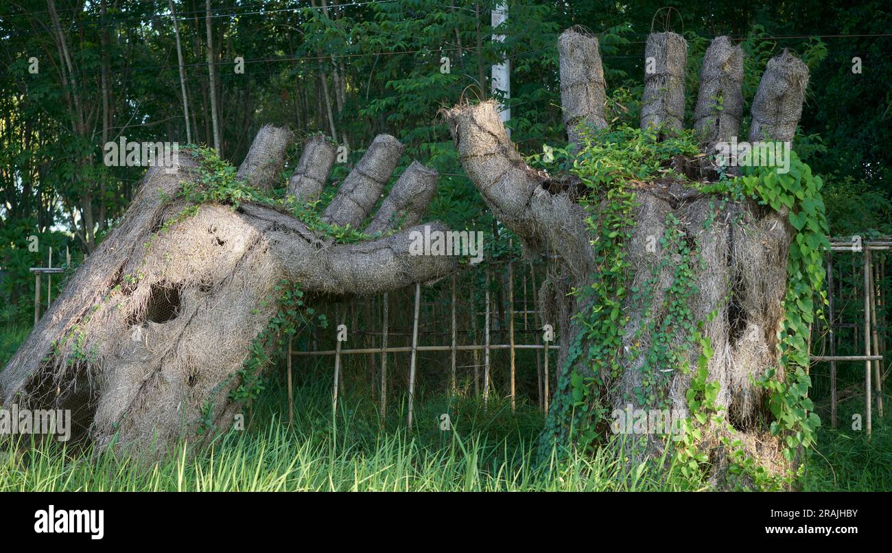 Big hands in a lush green jungle Stock Photo - Alamy