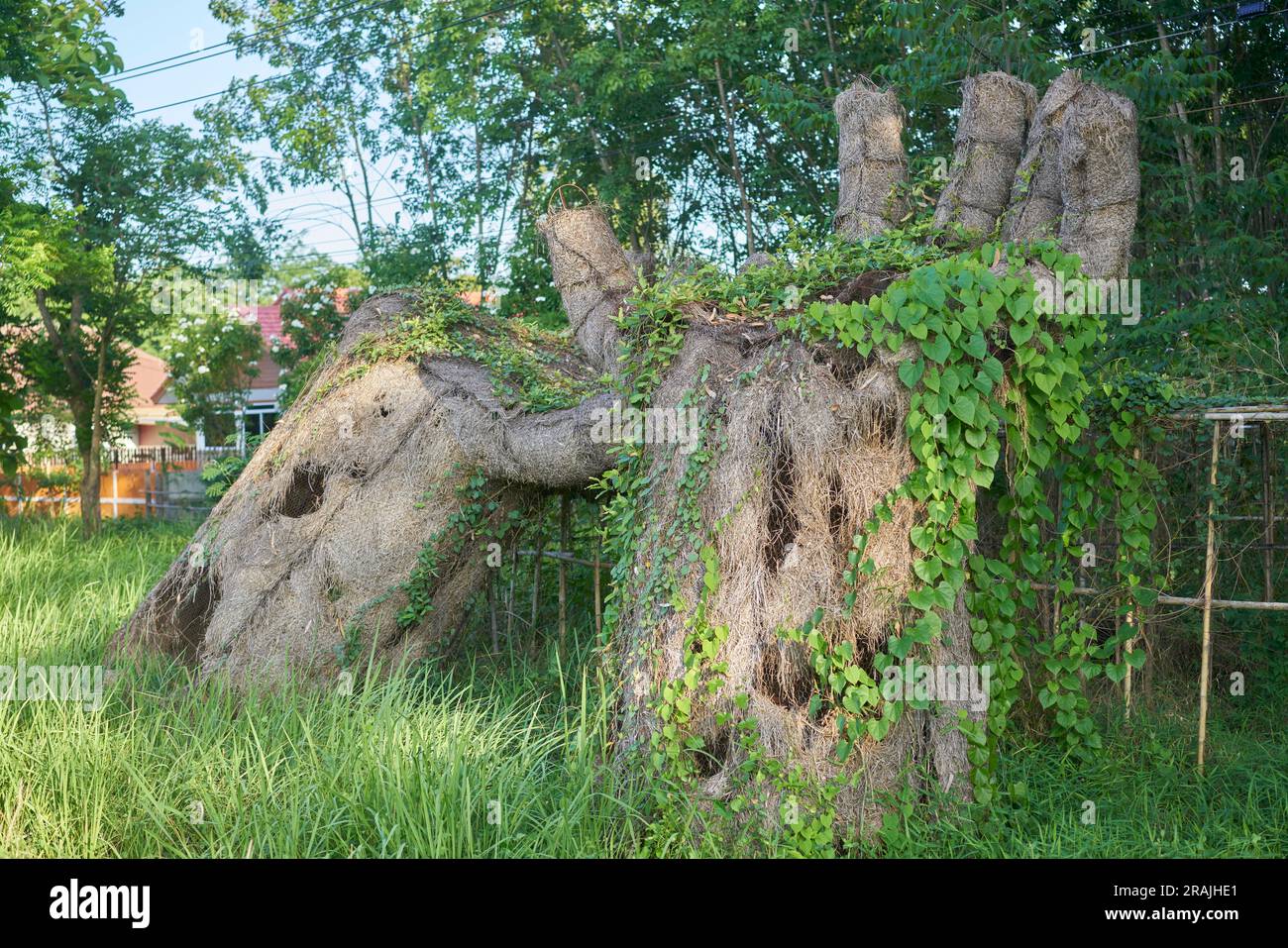 Big hands in a lush green jungle Stock Photo - Alamy