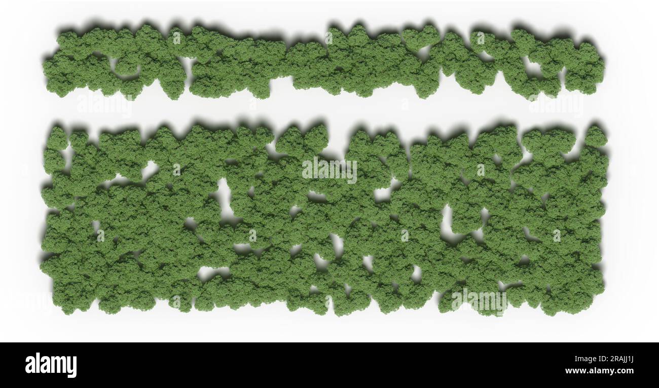 group of trees, top view, isolated on white background, 3D illustration ...