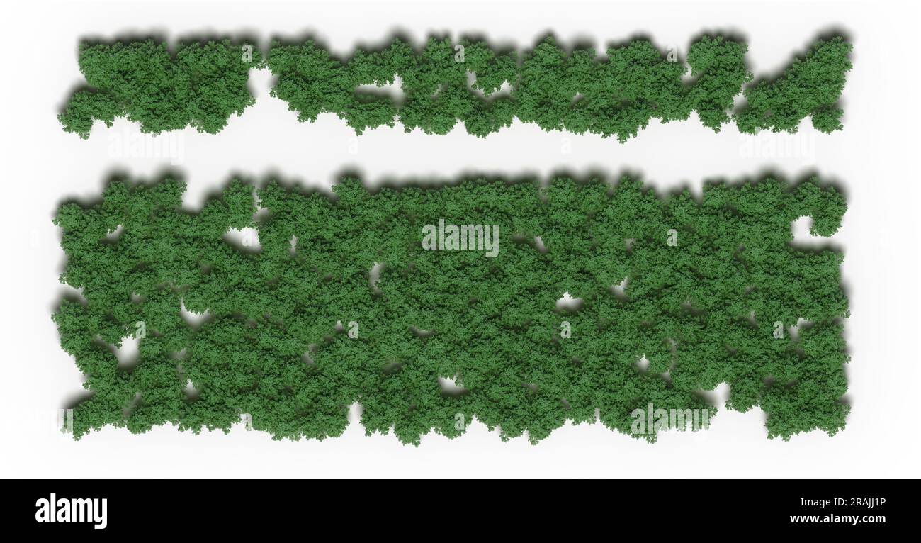 group of trees, top view, isolated on white background, 3D illustration ...