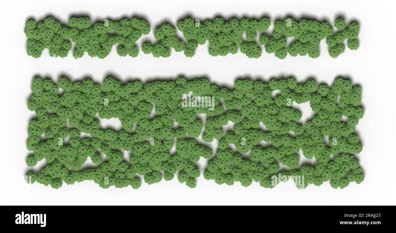 group of trees, top view, isolated on white background, 3D illustration ...