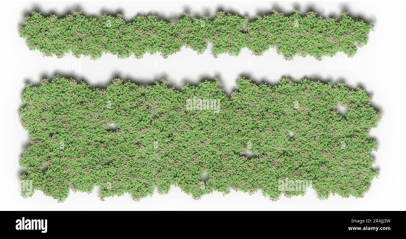 group of trees, top view, isolated on white background, 3D illustration ...
