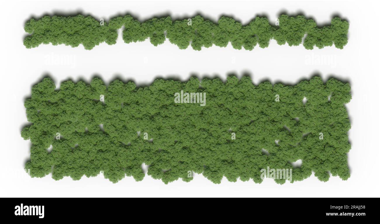group of trees, top view, isolated on white background, 3D illustration ...
