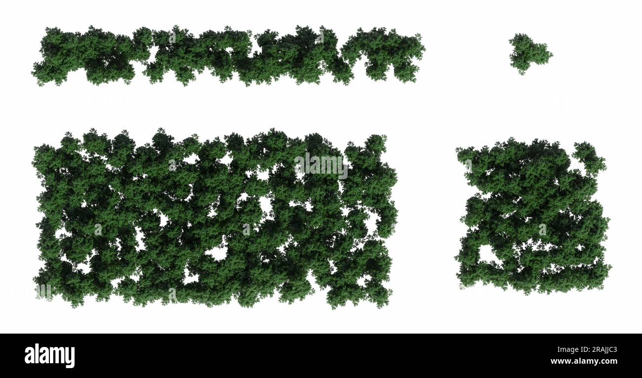group of trees, top view, isolated on white background, 3D illustration ...