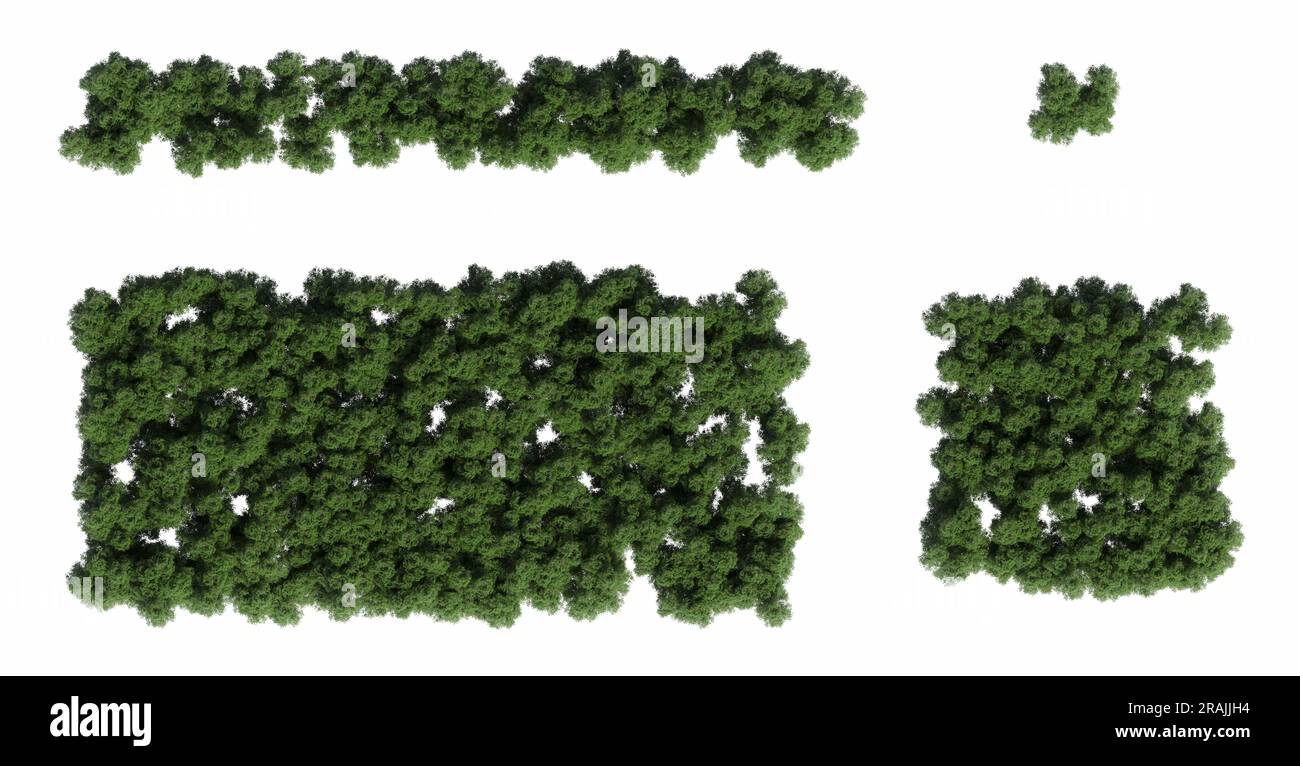 group of trees, top view, isolated on white background, 3D illustration ...
