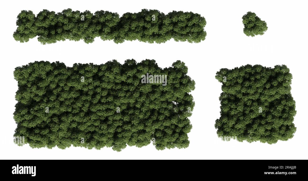 group of trees, top view, isolated on white background, 3D illustration ...