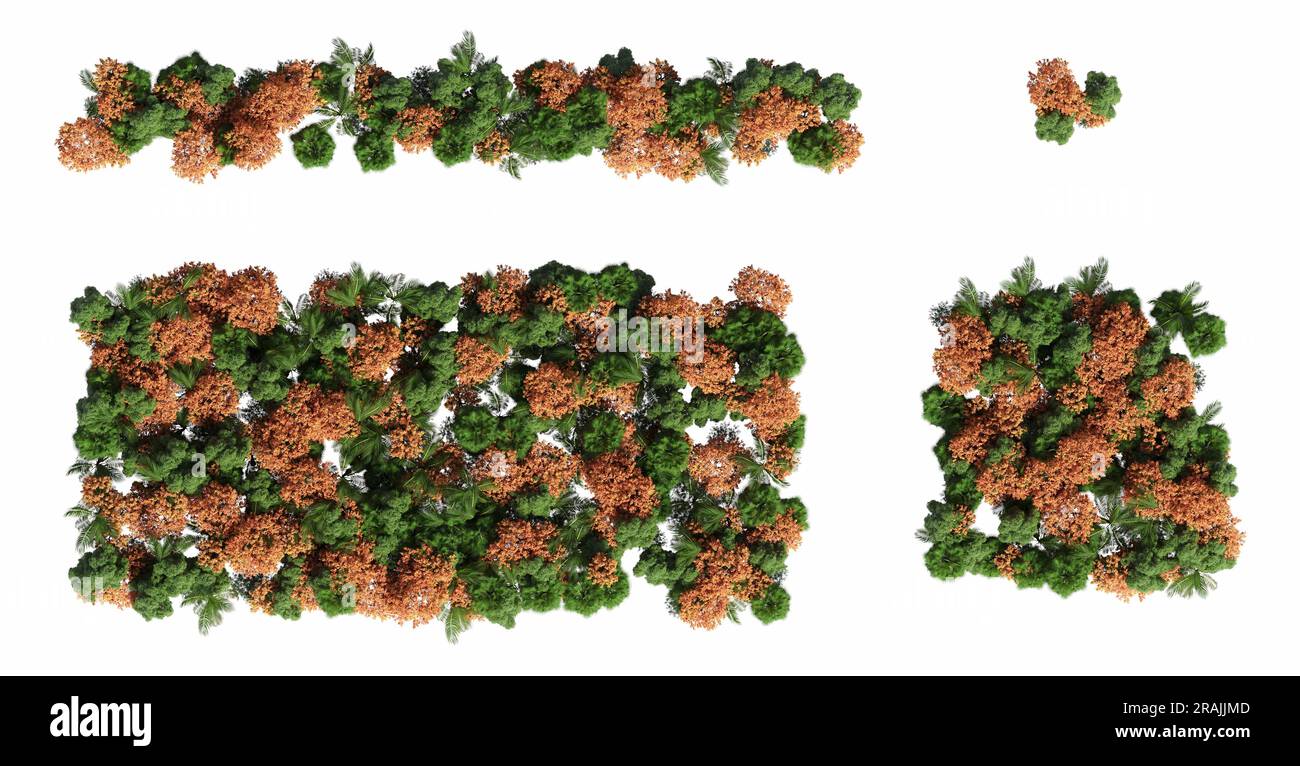 group of trees, top view, isolated on white background, 3D illustration ...