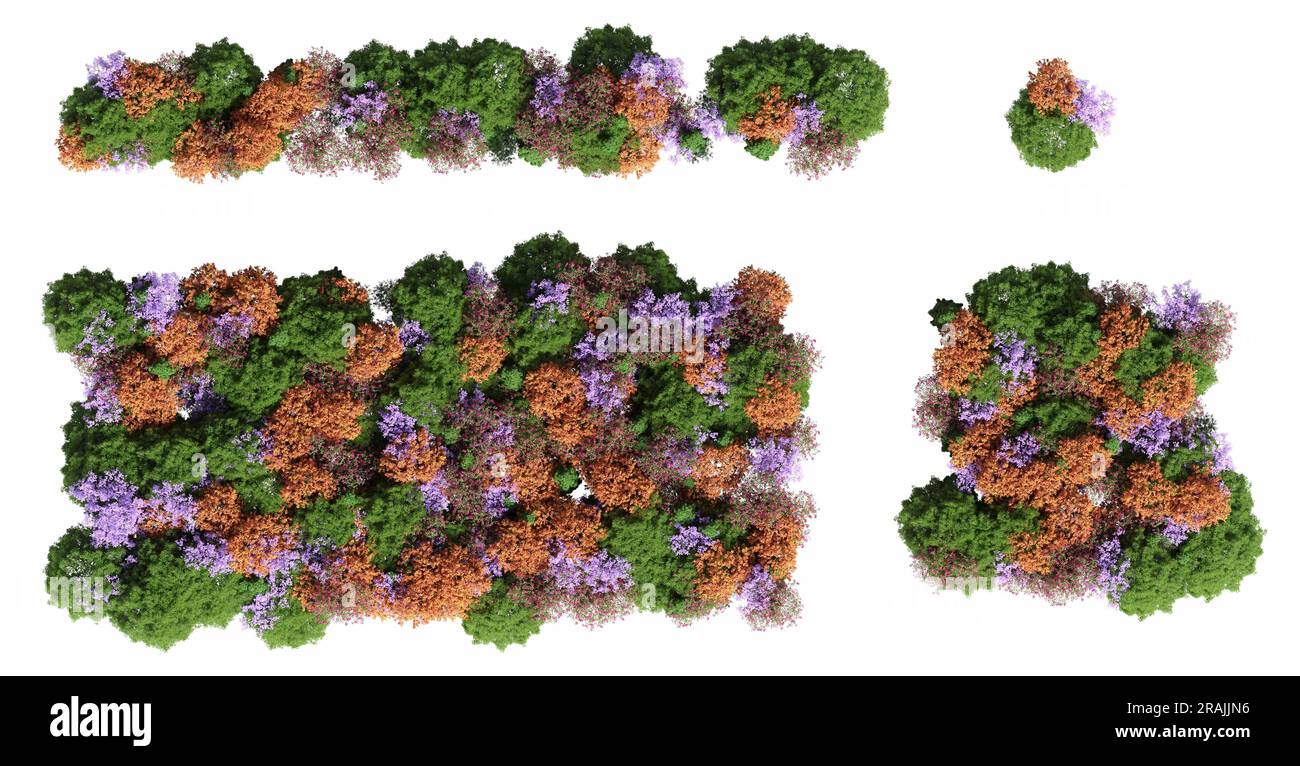 group of trees, top view, isolated on white background, 3D illustration ...
