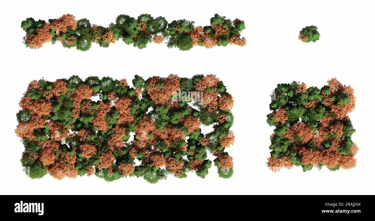 group of trees, top view, isolated on white background, 3D illustration ...