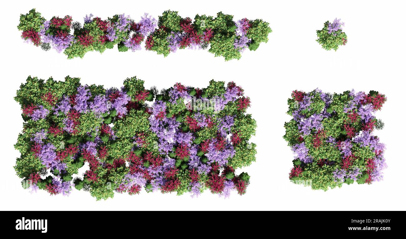 group of trees, top view, isolated on white background, 3D illustration ...