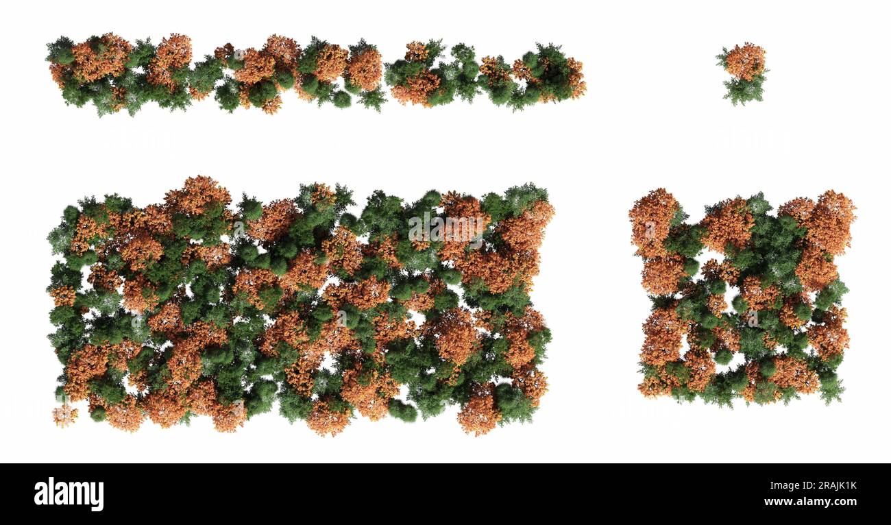 group of trees, top view, isolated on white background, 3D illustration ...