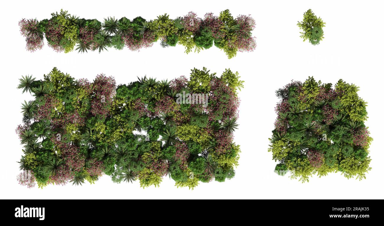 group of trees, top view, isolated on white background, 3D illustration ...