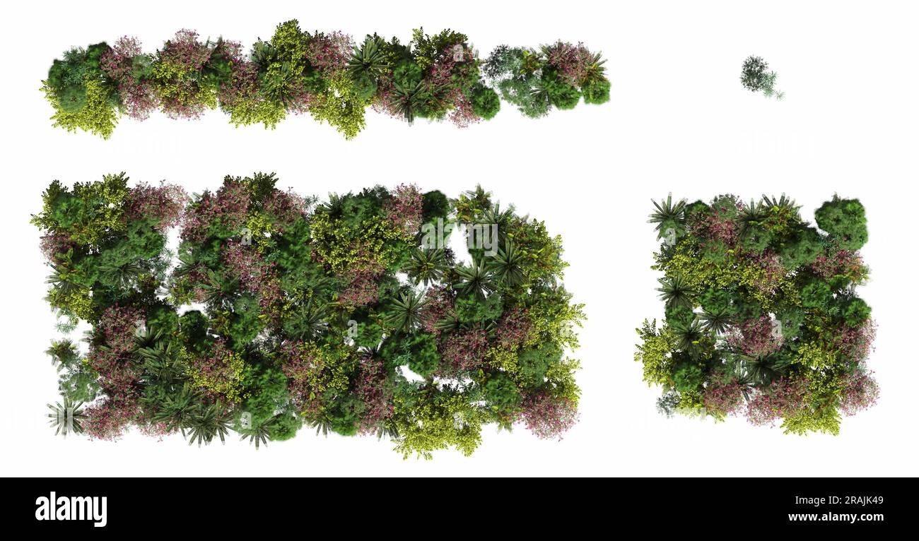 group of trees, top view, isolated on white background, 3D illustration ...